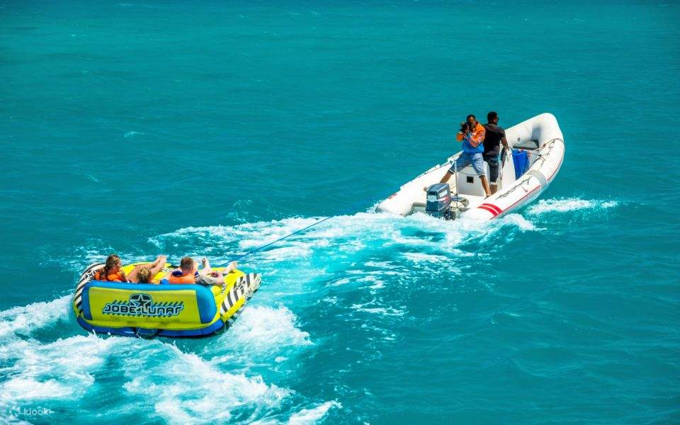 Explore El Gouna: Dolphin Watching Boat Tour with Snorkeling & Lunch ...