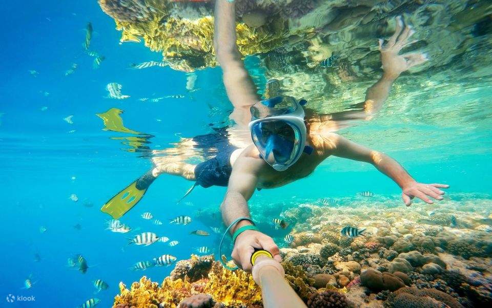Discover Underwater Wonders: Private Speed Boat Trip with 3 Snorkeling ...