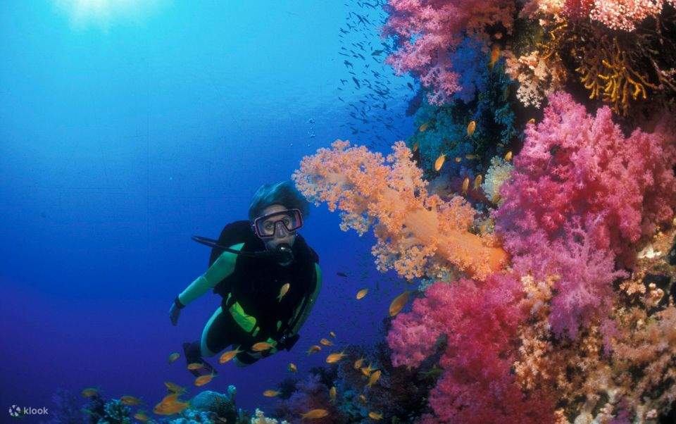 Explore Sharm El Sheikh with an Exciting ATV Quad Bike and Private Speedboat Adventure - Klook ...