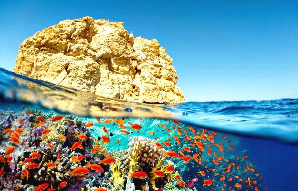 Tur Ngarai Berwarna, Lubang Biru, dan Dahab dari Sharm El Sheikh - Klook Indonesia