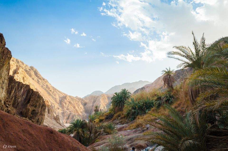 Explore the Beauty of Dahab and Canyon on an Overnight Safari from ...
