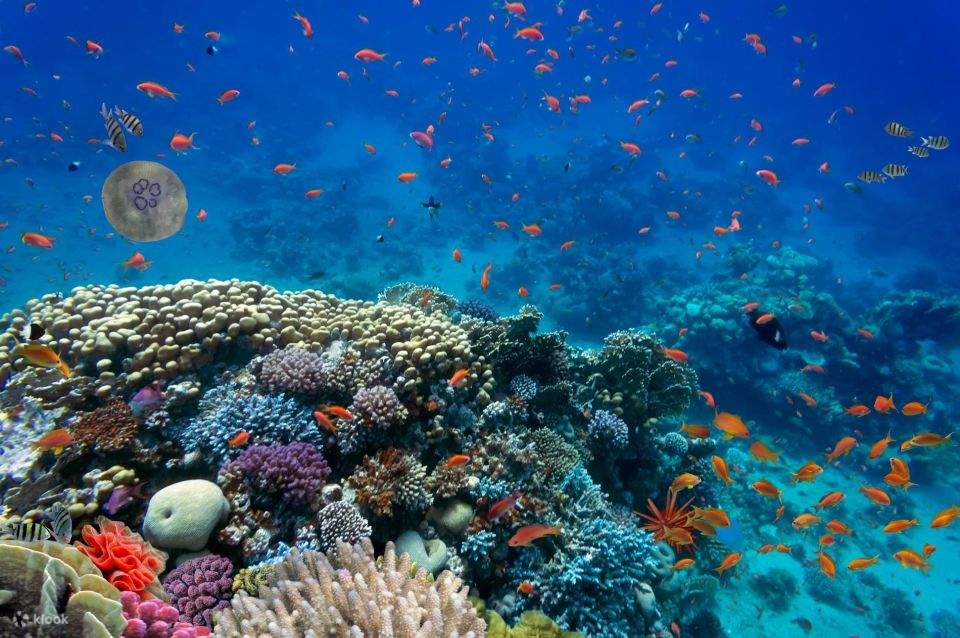 Explore the Beauty of Dahab and Canyon on an Overnight Safari from ...