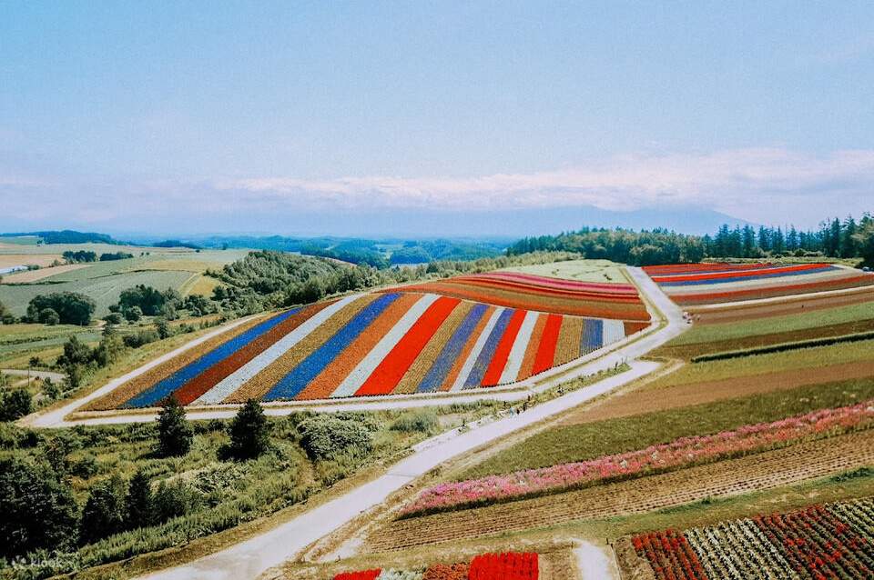 Hokkaido Asahikawa Zoo, Shikisai no oka snow park, and Ningle Terrace ...