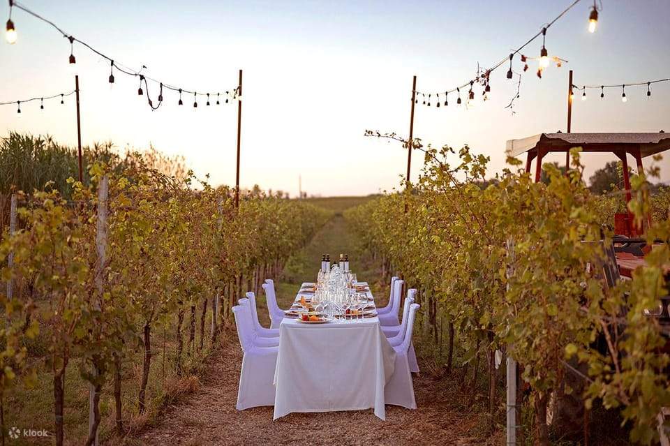 Romantic Dinner in the Vineyard of Poggio ai Laghi Winery - Klook Australia