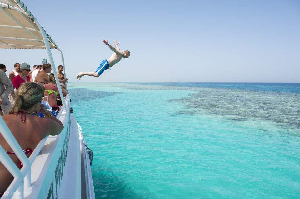 Discover the Majestic Dolphins of the Red Sea: Hurghada Dolphin ...