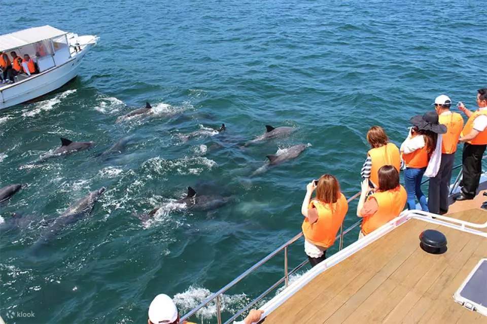 Kumamoto: Suizenji Temple Jojuen Garden & Dolphin Watching Day Tour ...