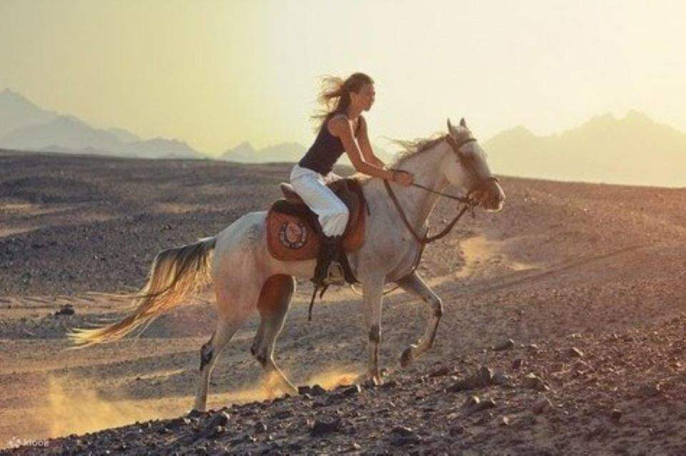 Unforgettable Adventure in Sharm El Sheikh: Dune Buggy, Horse & Camel ...