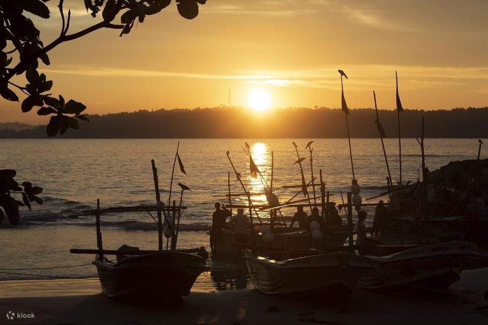 Colombo & Negombo To Galle Hikkaduwa Mirissa Day Tour - Klook United States