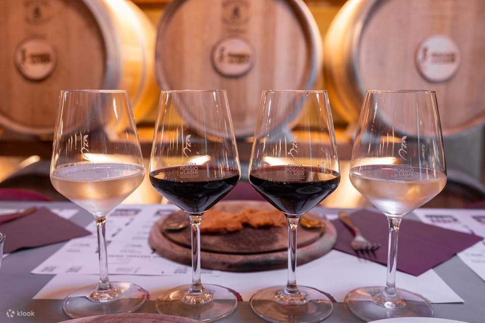 Agricola Poggio ai Laghi: Tasting of Wines, Oils & Vinegars - Klook ...