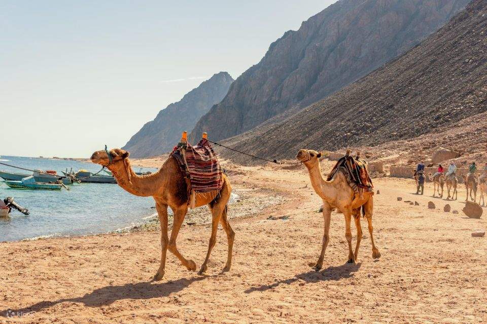 Explore the Beauty of Dahab and Canyon on an Overnight Safari from Sharm - Klook