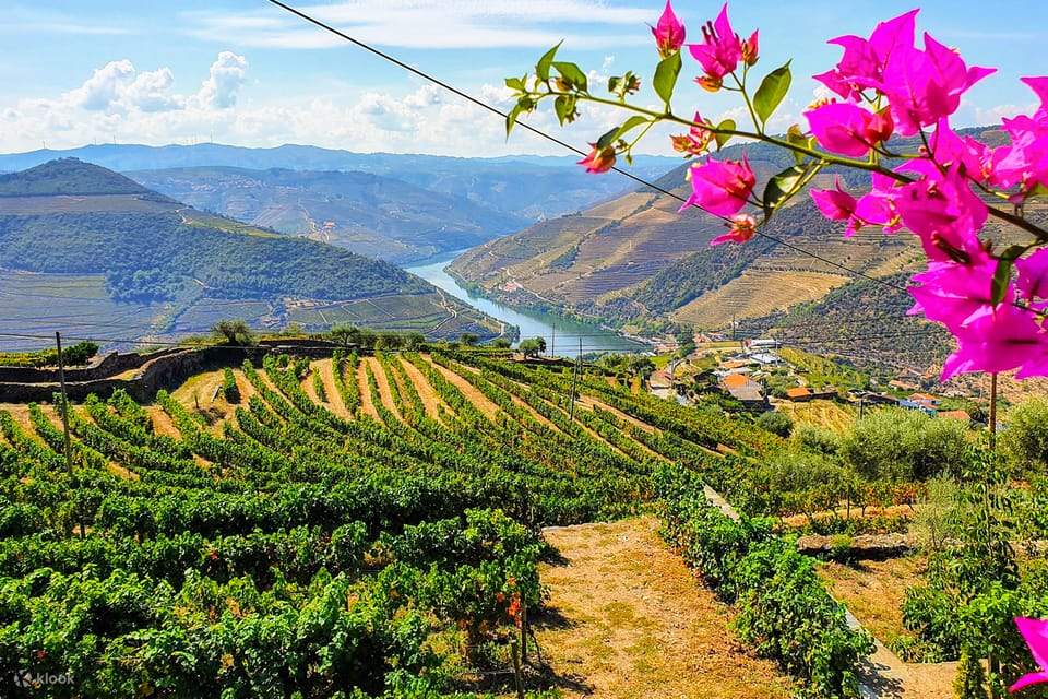 Douro Valley small group tour from Porto - Klook Singapore