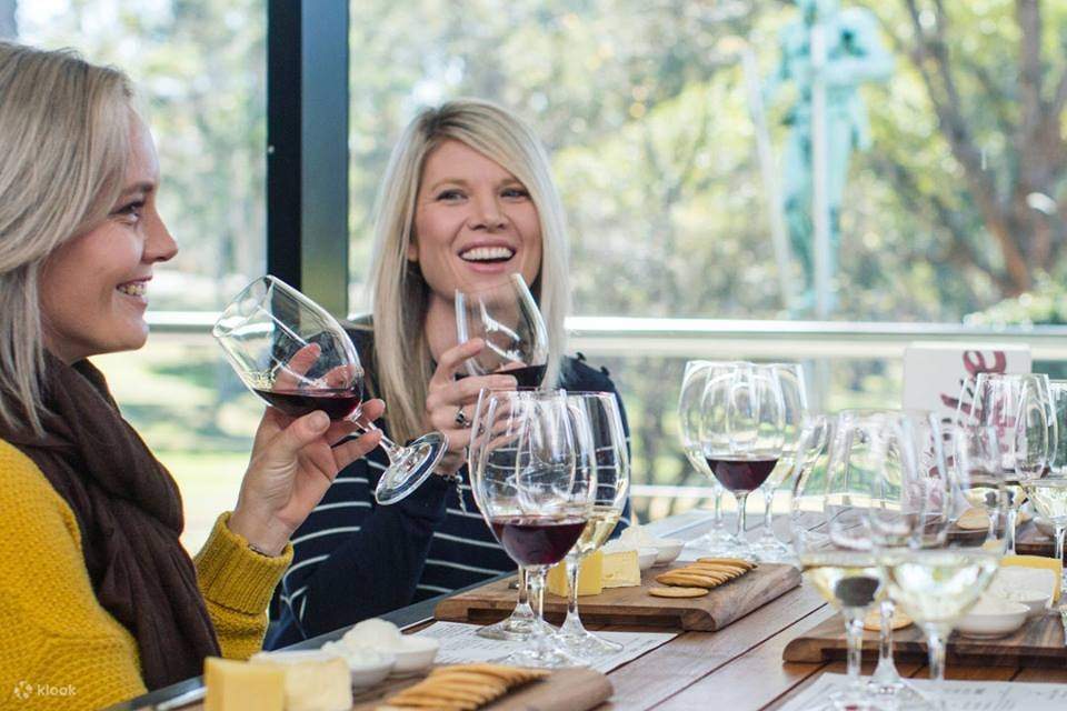 Hunter DeLuxe Wine Tasting Experience in Hunter Valley - Klook India