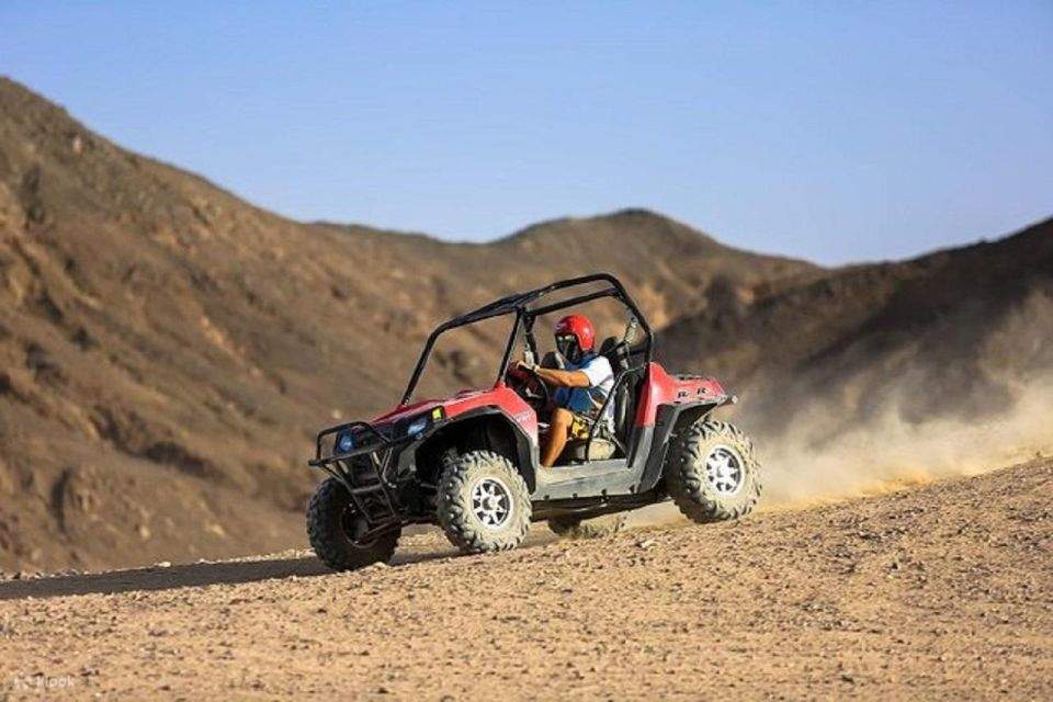Sharm: Desert Adventures ATV, Buggy, Horse Ride & Camel Ride - Klook