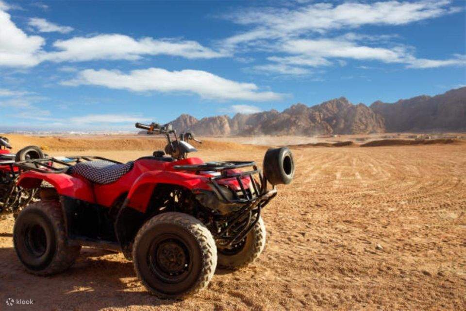 Sharm: Desert Adventures ATV, Buggy, Horse Ride & Camel Ride - Klook