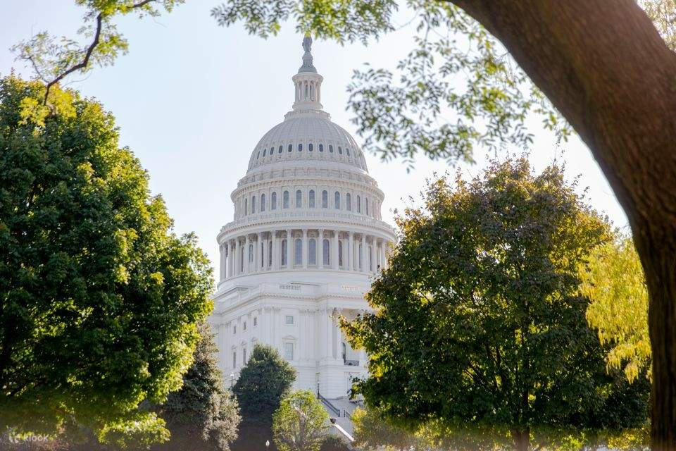The Capitol Building, White House, and Memorials Join In Half Day Bus ...