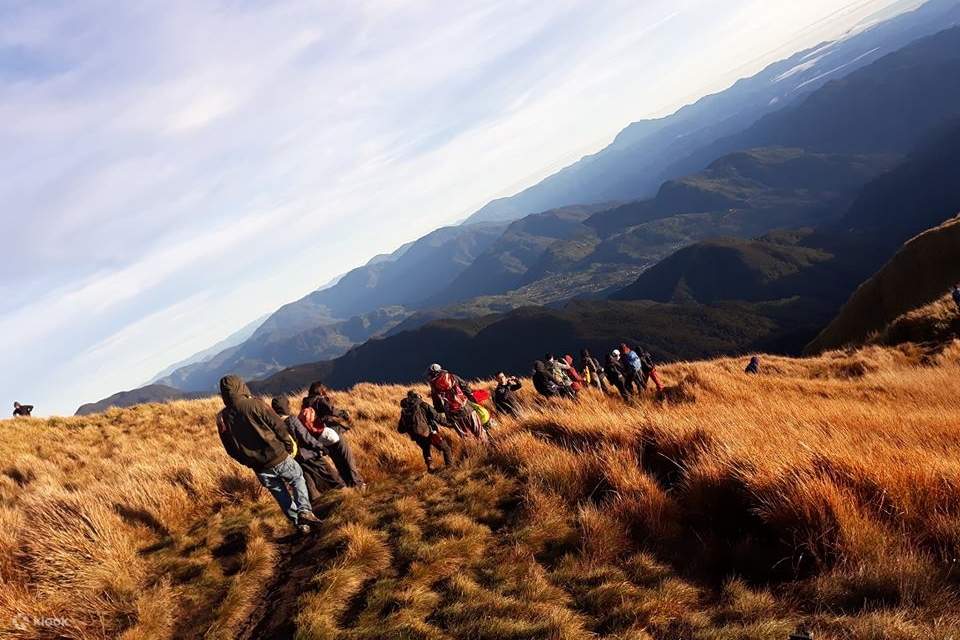 2D1N Mount Pulag Hiking and Camping Experience - Klook, Vereinigte Staaten