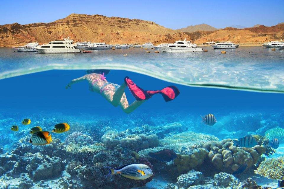 White Island and Ras Mohammed Tour from Sharm El Sheikh - Klook