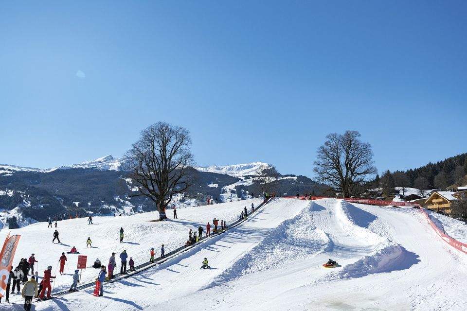 Swiss Ski Experience in Jungfrau Region from Zurich or Lucerne - Klook ...
