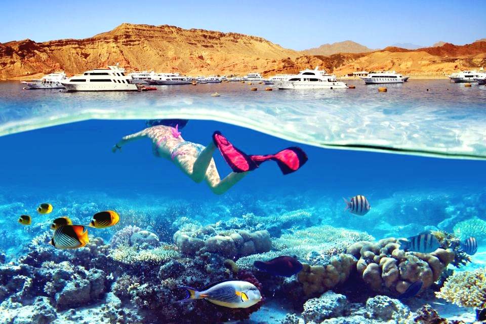 Ras Mohammed and White Island Luxury Cruise from Sharm El Sheikh - Klook