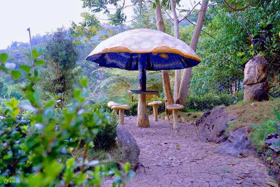 Creative Detox Walking Tour in Tuba with Maryknoll Ecological Sanctuary ...