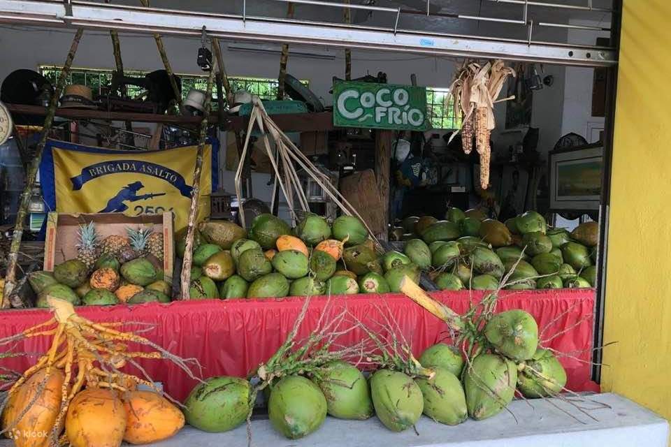 Miami Guided City Tour - Klook