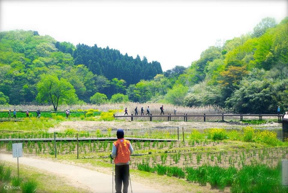 Beppu City, Oita Prefecture: Scandinavian Walking Tour of Lake ...