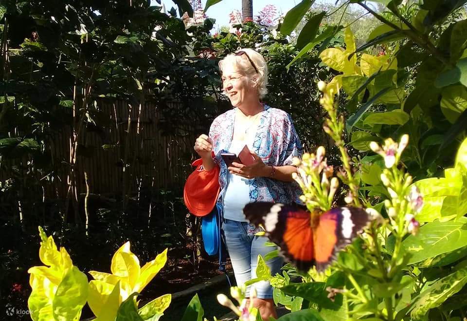 Kemenuh Butterfly Park in Bali - Klook United Kingdom