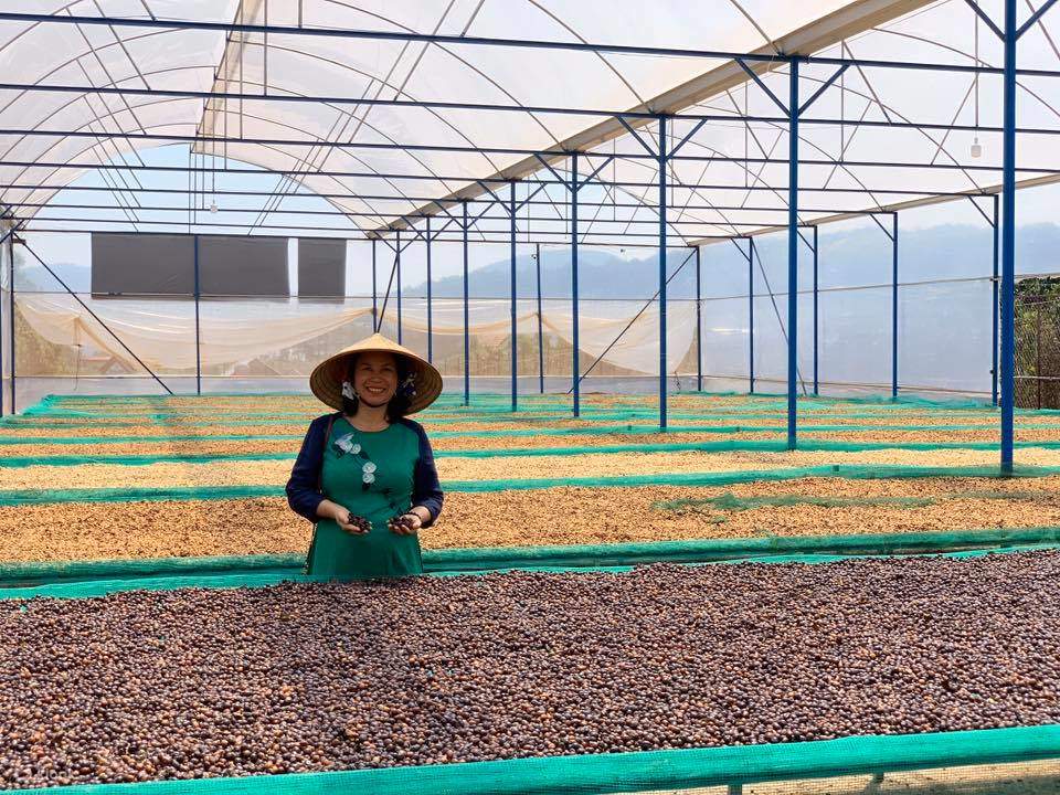 Coffee Farm Visit and Coffee Experience at Tam Trinh Coffee Farm in Da ...