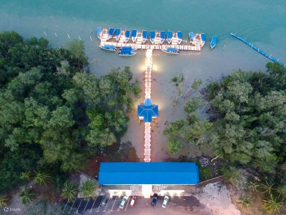 Firefly, Eagle Feeding and Blue Tears Nature Tour in Kuala Selangor - Klook