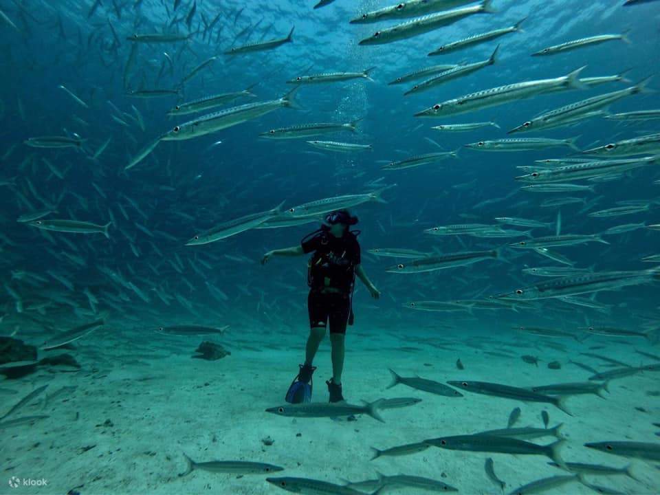 Sertai Dalam Satu Hari Belajar Selam Skuba Di Pulau Racha di Phuket ...