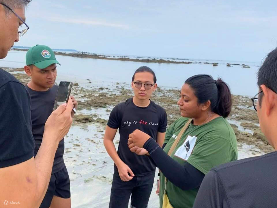 90 Minutes Beach and Tide Pool Walk in Desaru Walking Tour - Klook ...