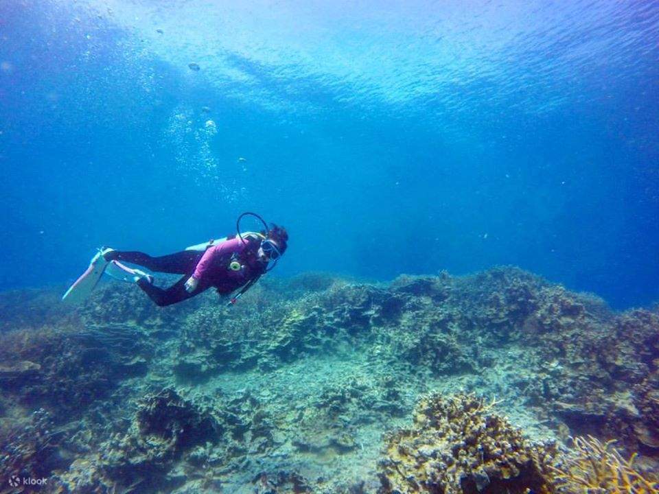 Jelajahi Kedalaman: Perjalanan Menyelam Sehari Penuh di Kota Kinabalu ...