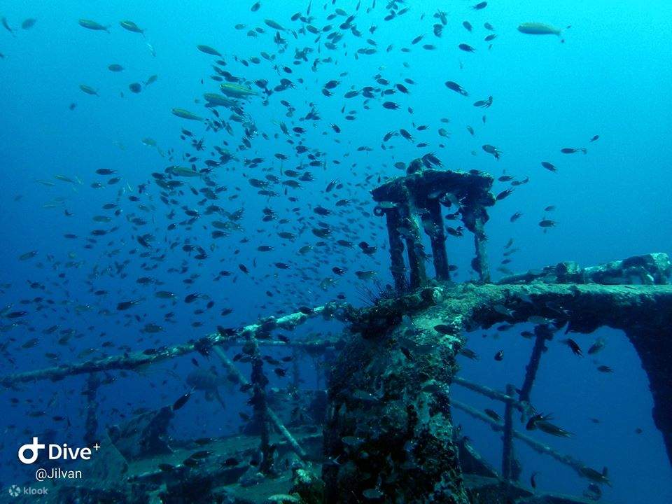 Terokai Kedalaman: Perjalanan Selam Sehari Penuh di Kota Kinabalu ...