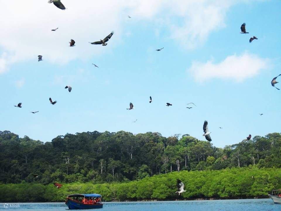 Discover the Best of Langkawi: Island Hopping Grand Tour - Klook Australia