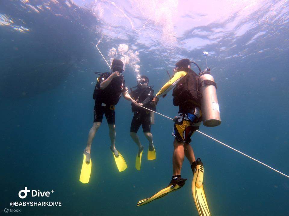 Explore the Underwater World: PADI Discover Scuba Diving in Kota ...