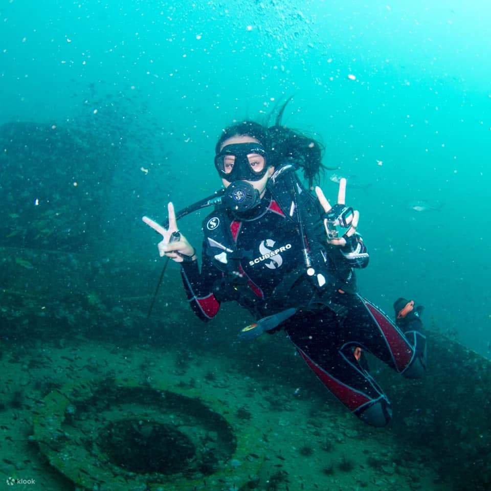 Full-Day Dive Trip in Pattaya with PADI 5 Star IDC | Dive Adventures ...