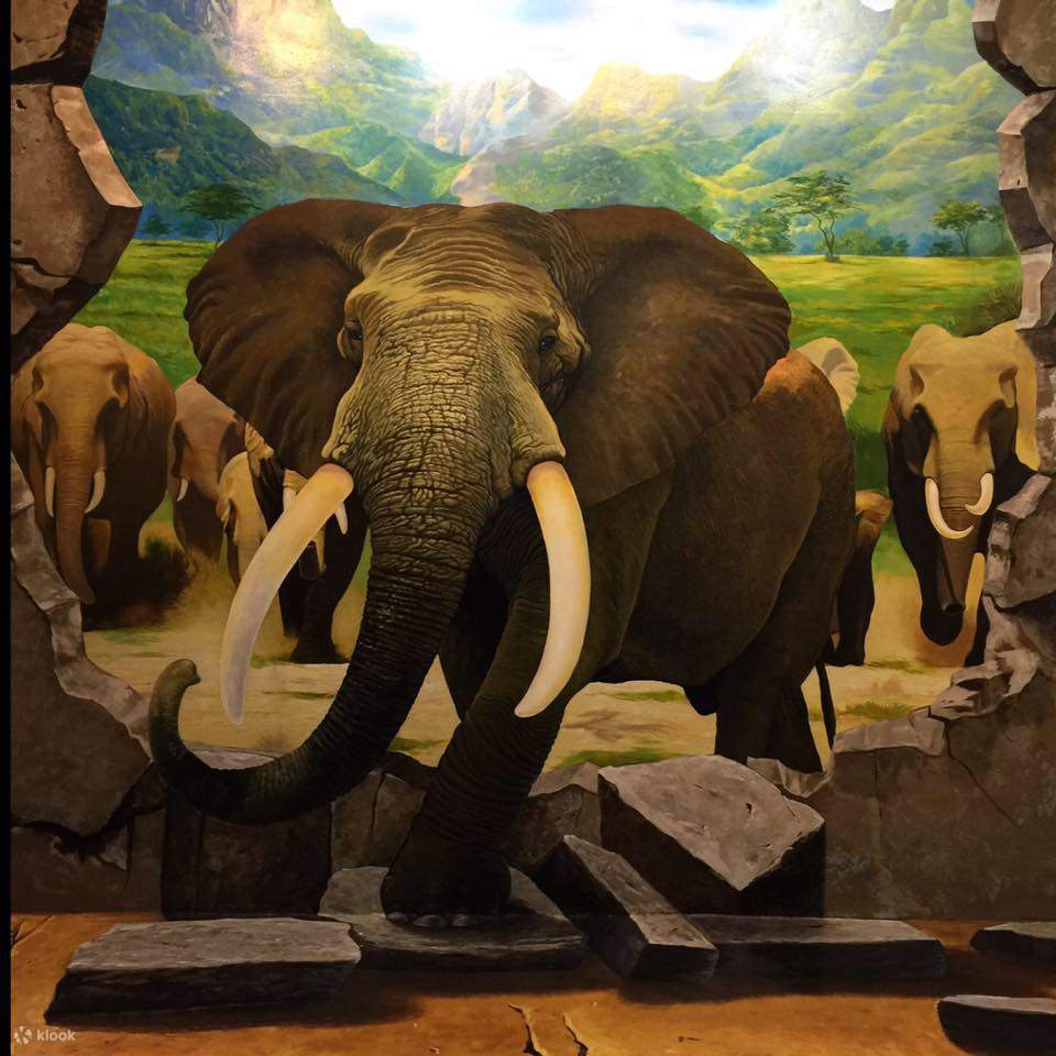 Magic Eye 3D Museum in Hatyai - Klook
