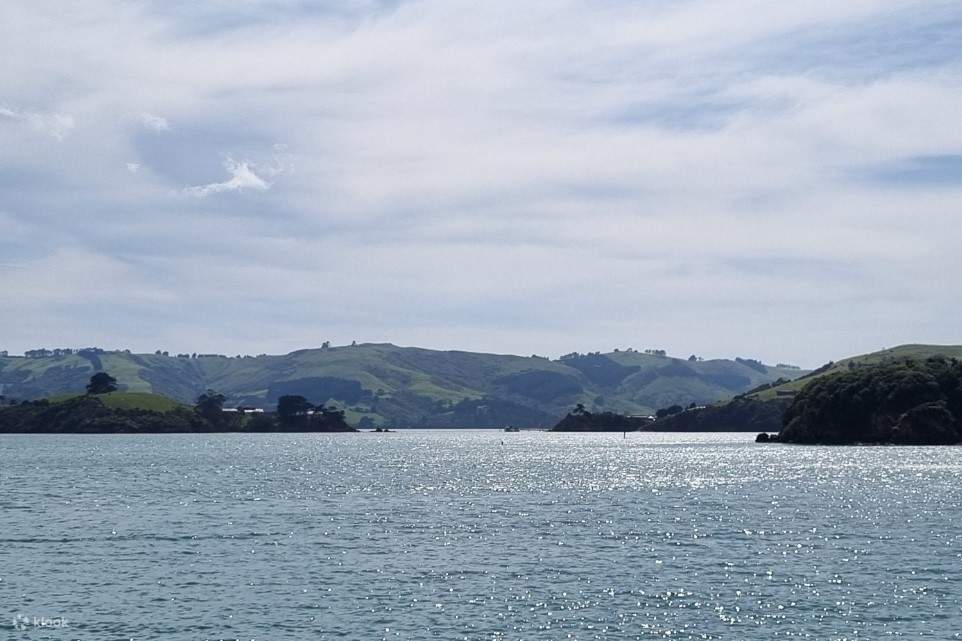 Dunedin Wildlife Mainland Peninsula Tour - Klook, Vereinigte Staaten