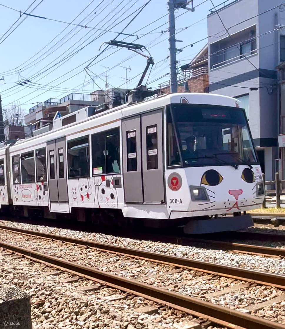 Tokong Kucing Gotokuji, kafe Kucing Shinjuku dan lawatan Kucing 3D (Tokyo) - Klook Amerika Syarikat
