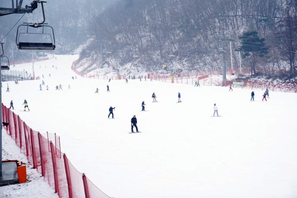 Jisan Forest Ski Resort Private Tour - Klook United States