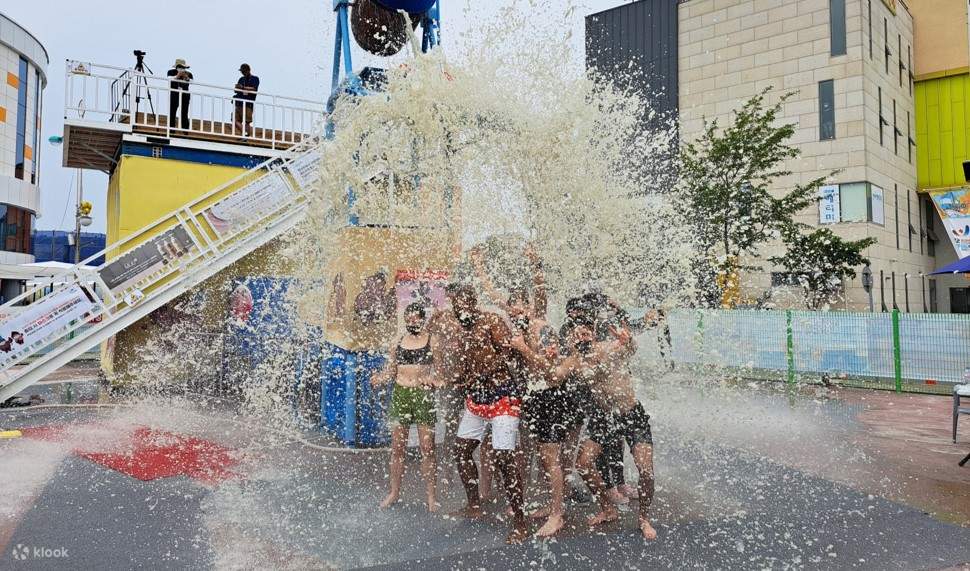 Festival Lumpur Boryeong & Tur Pantai Daecheon & Kuil Sudeoksa - Klook ...