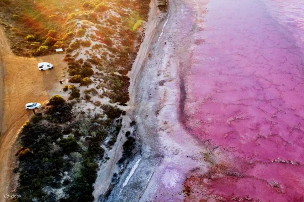 Pink Lake Tour & Aktivitas di Hutt Lagoon - Klook Indonesia