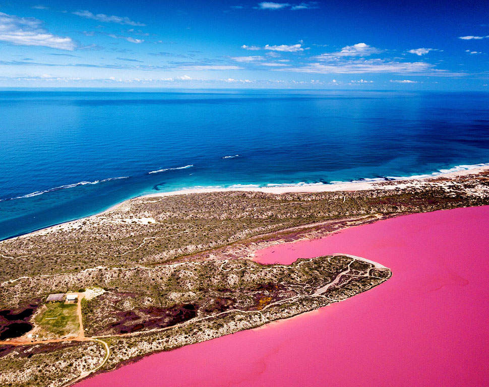 Pink Lake 4x4 Buggy Tour in Geraldton Tour - Klook United States