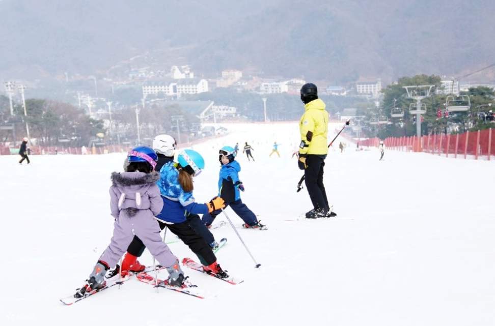 Jisan Forest Ski Resort Private Tour - Klook India