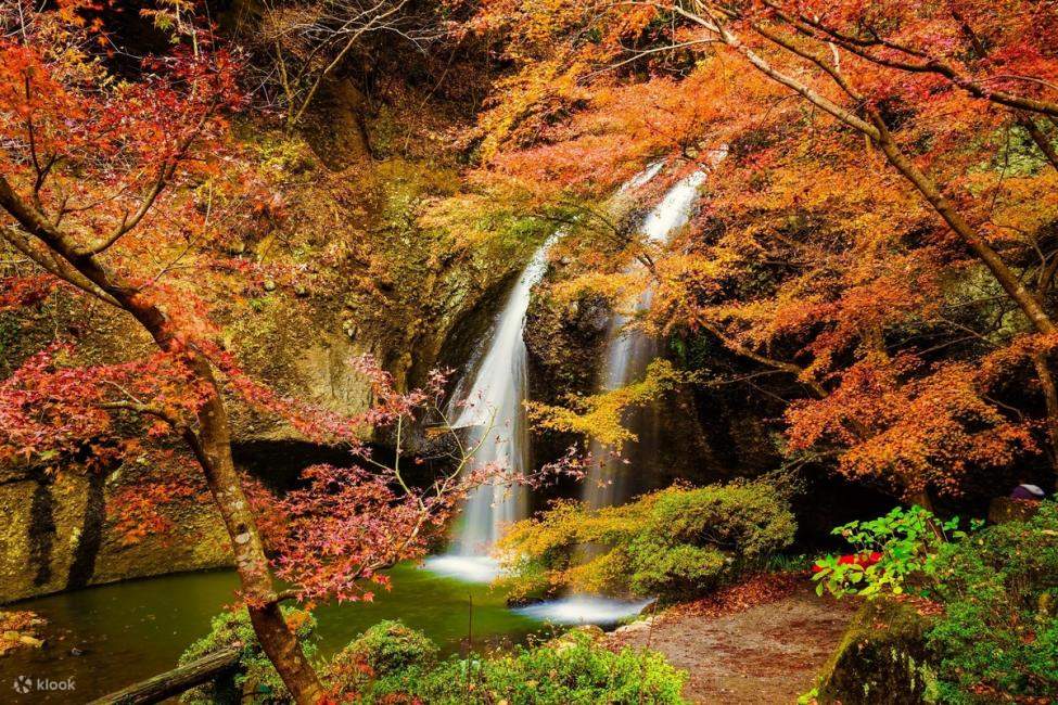 [Ibaraki Falls Day Tour] One of Japan's Three Great Waterfalls ...