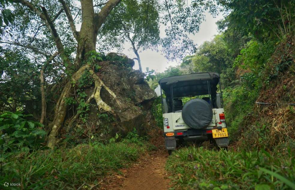 Jeep Safari and Tribal Village Experience in Munnar, India - Klook India