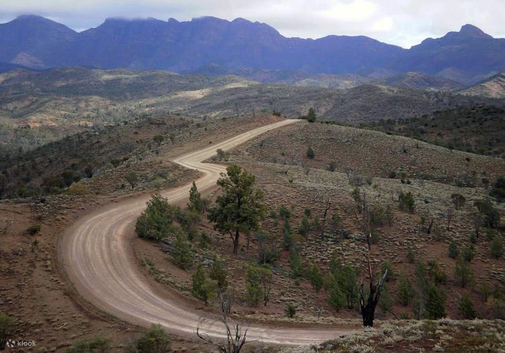 Bunyeroo and Brachina Gorge 4WD Tour in Rawnsley Park - Klook