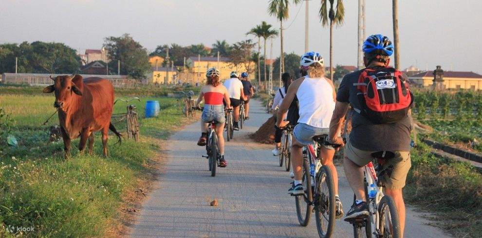 Hanoi Half-day Countryside Bicycle Tour, Vietnam - Klook