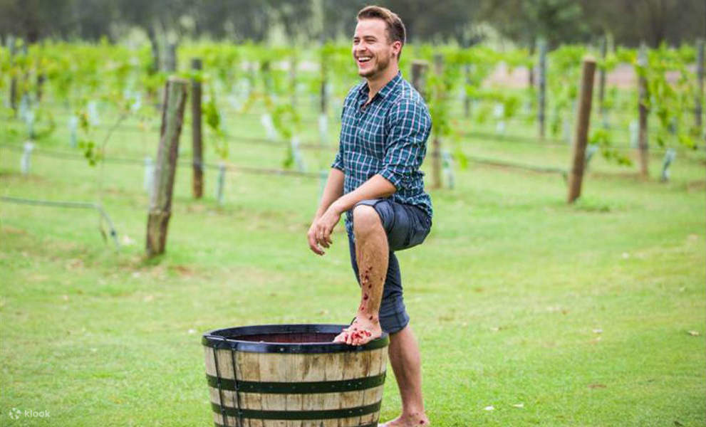 Traubenstampfen im Hunter Valley - Klook, Vereinigte Staaten