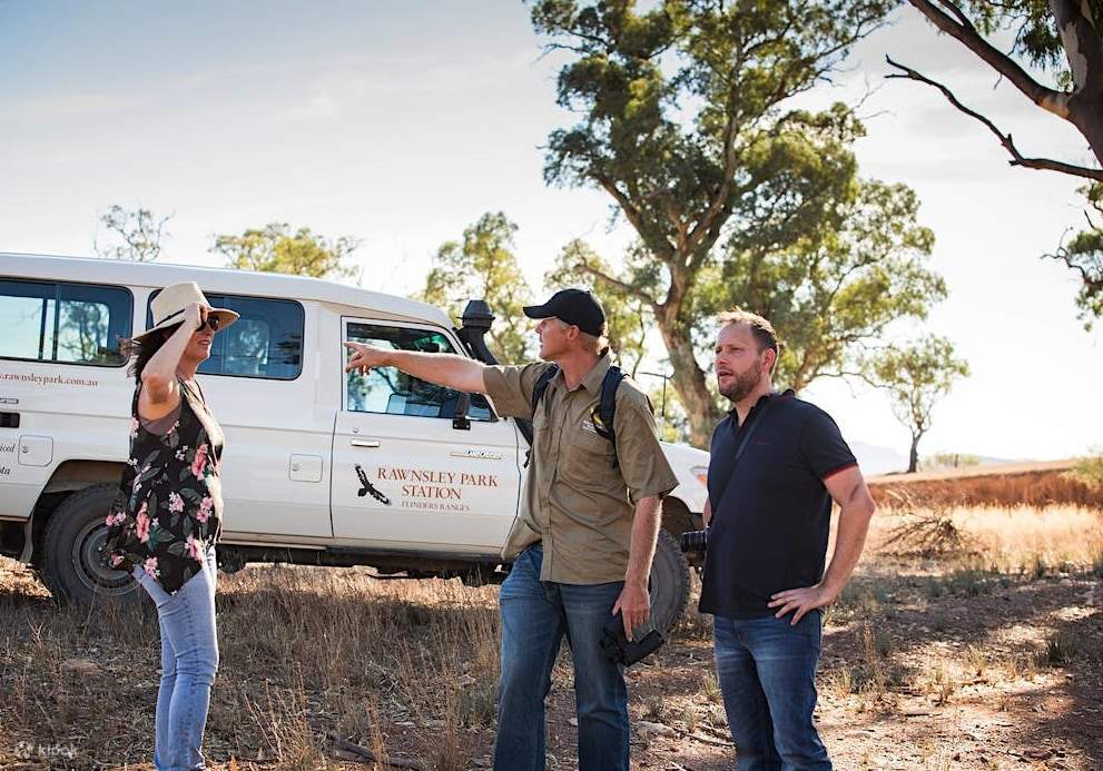 Tour en 4x4 por Bunyeroo y el desfiladero de Brachina en Rawnsley Park ...